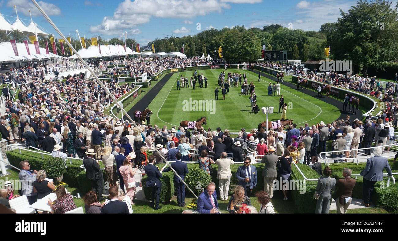 Goodwood racecourse hi-res stock photography and images - Alamy