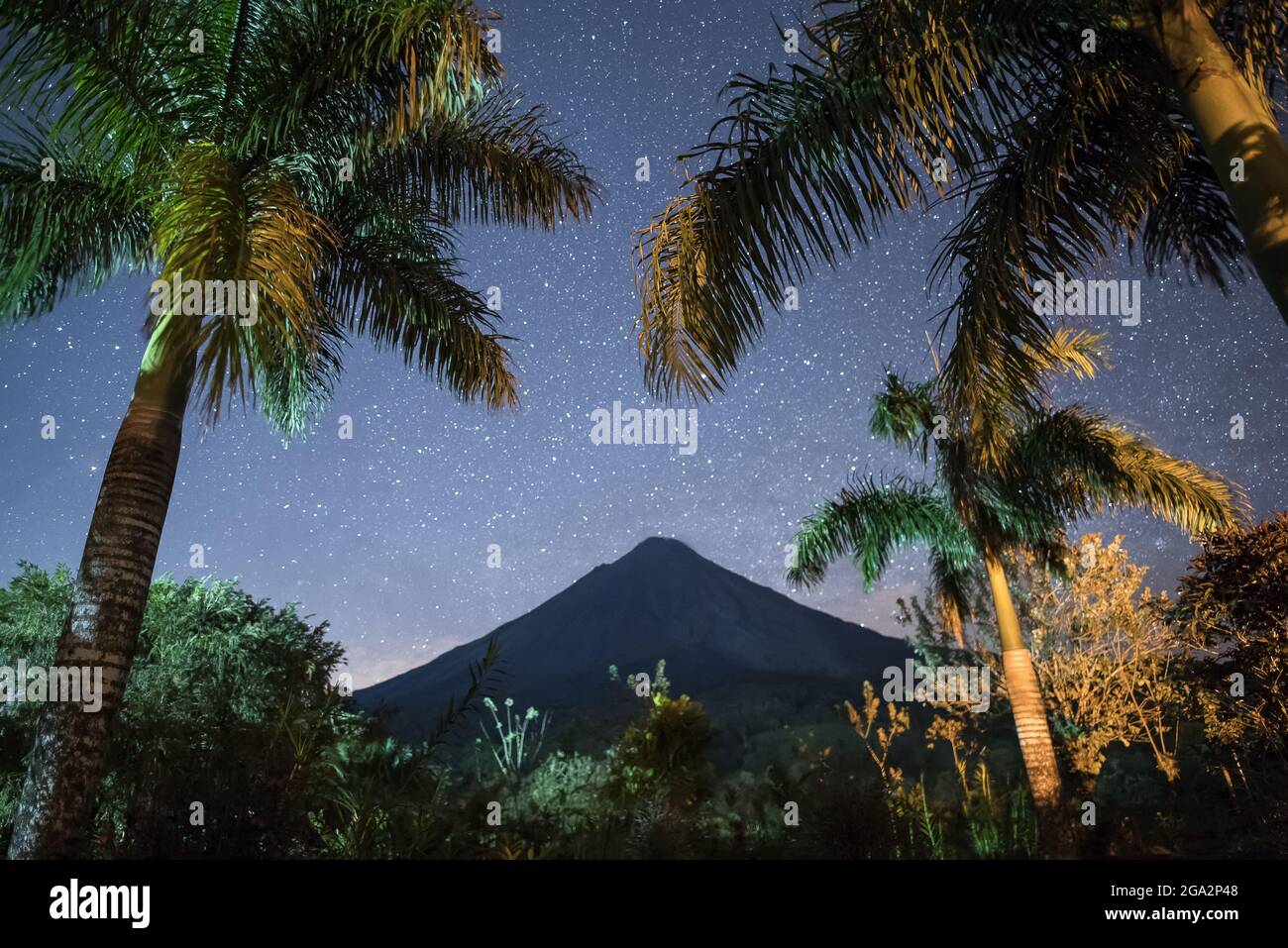 Arenal volcano, an active stratovolcano, is framed by palm trees ...