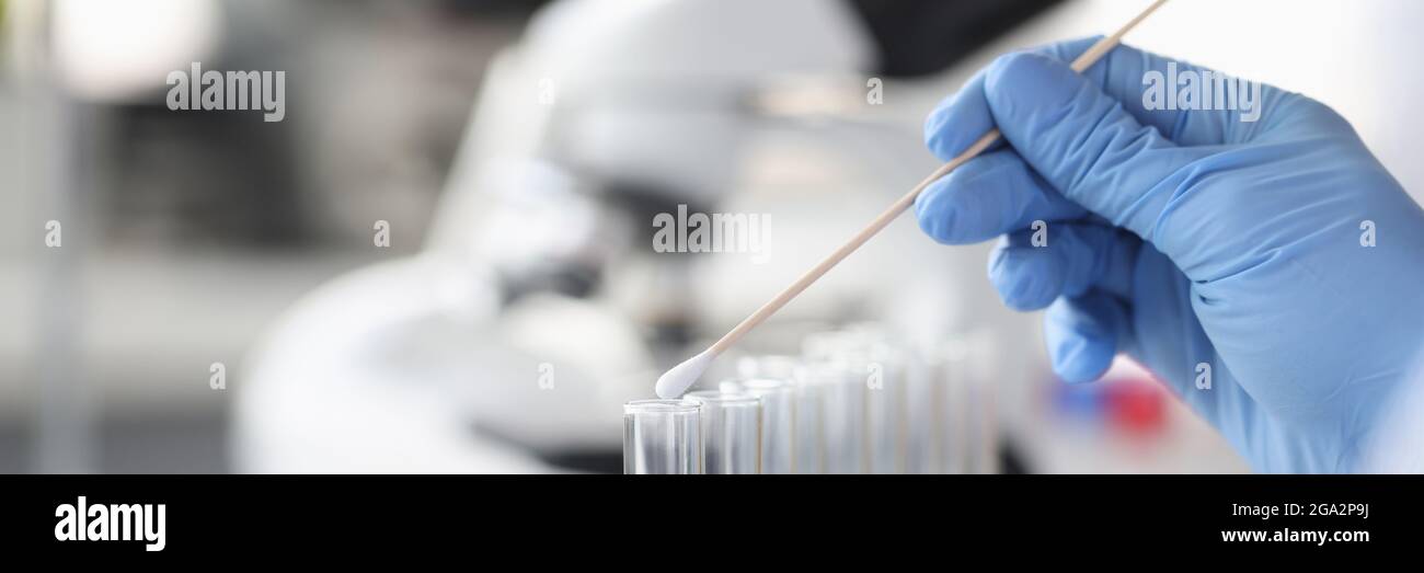 Scientist chemist inserting cotton swab into glass test tube closeup ...