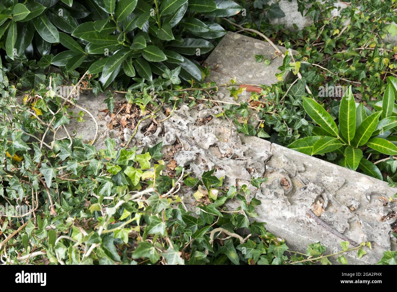 Overgrown fallen cross in a cemetery Stock Photo - Alamy