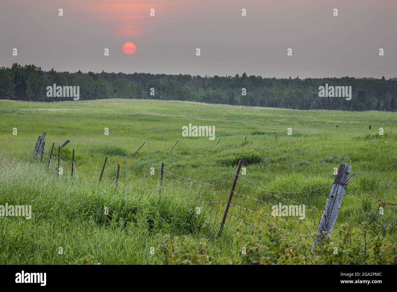 Country countryside rural pastoral pasture hi-res stock photography and ...