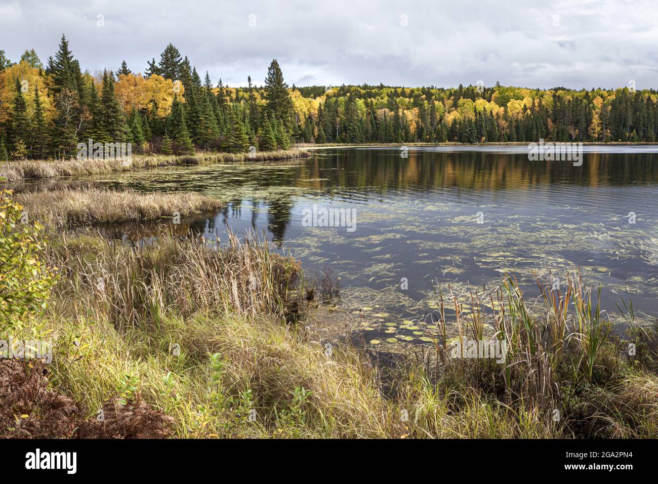 Thunder bay countryside hi-res stock photography and images - Alamy