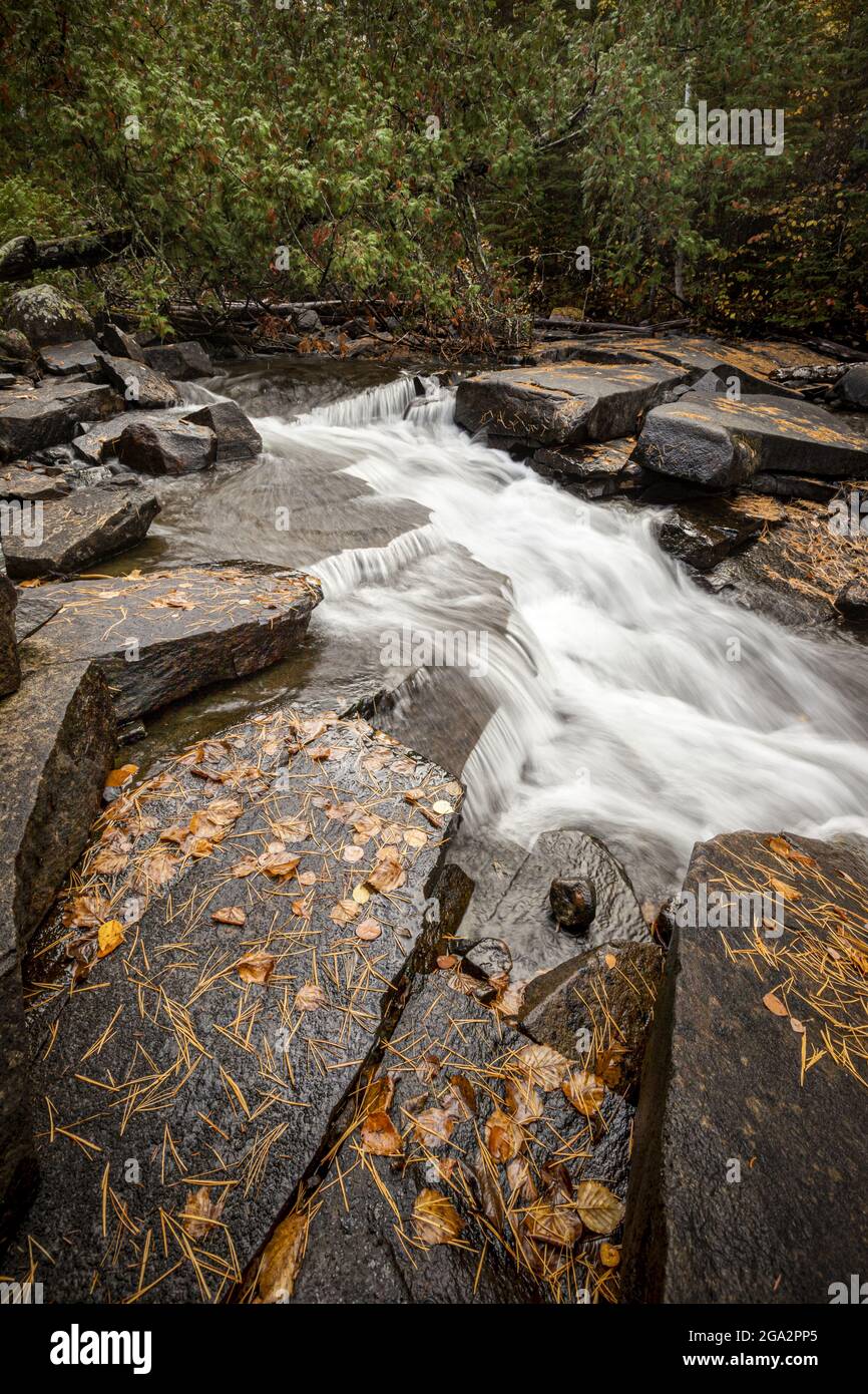 Cascades over wet rocks with autumn coloured leaf debris; Thunder Bay ...