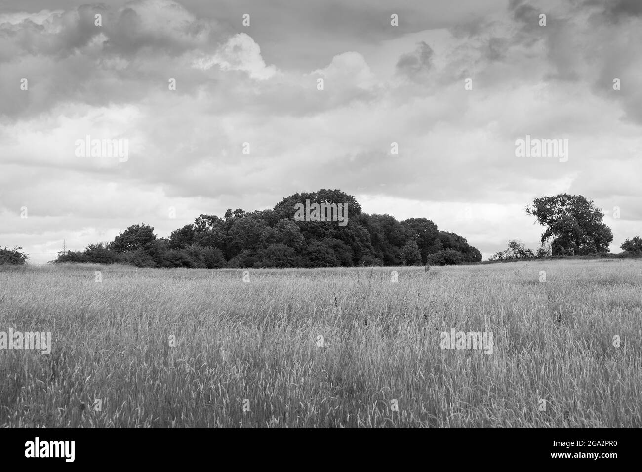 Grass slope Black and White Stock Photos & Images - Alamy
