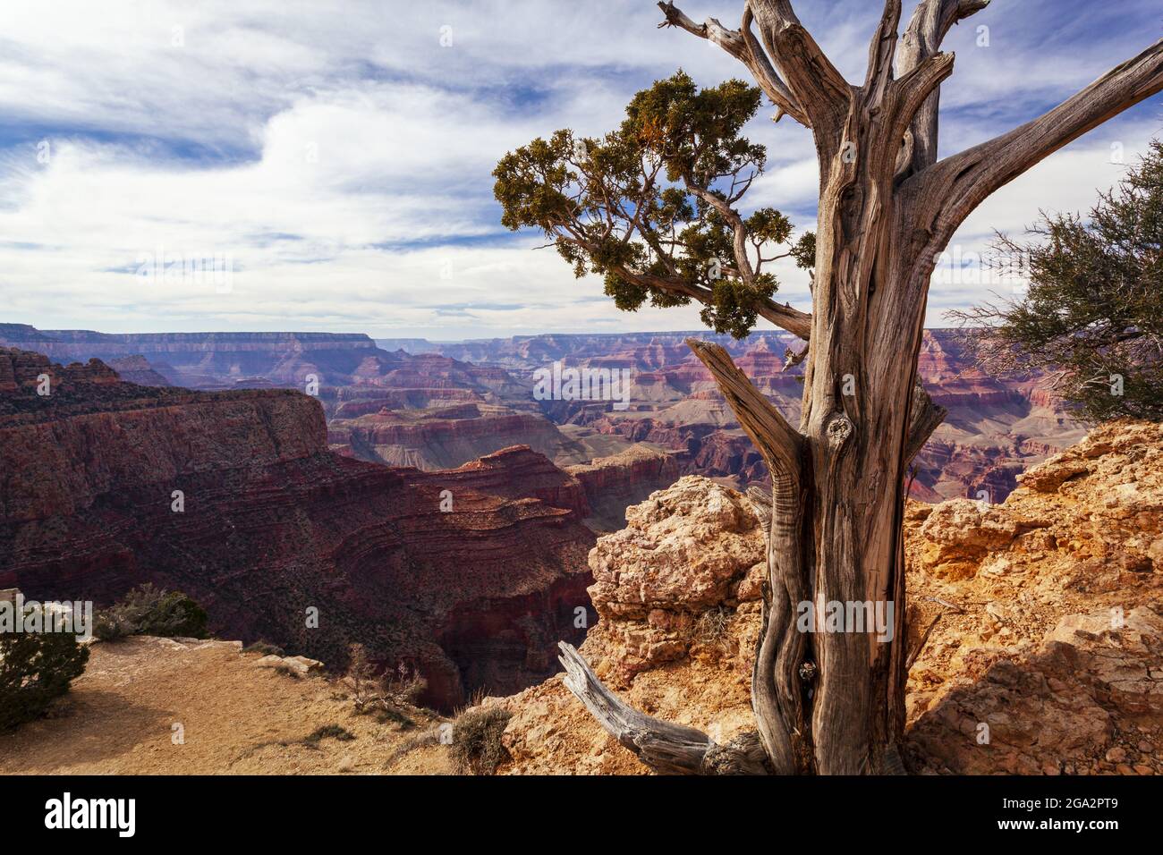 Moran Point at the Grand Canyon; Arizona, United States of America ...