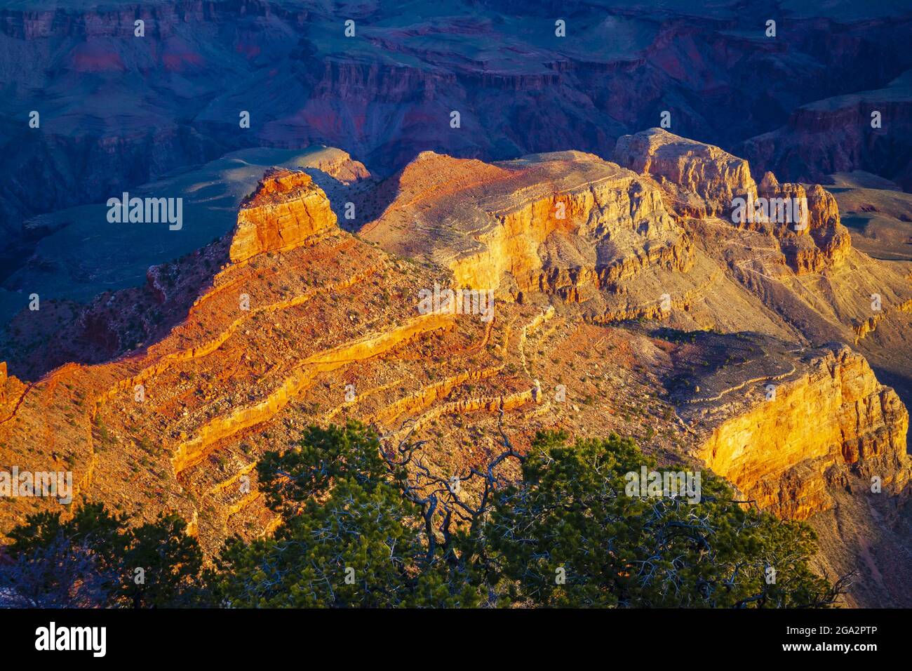 Yaki point hi-res stock photography and images - Alamy