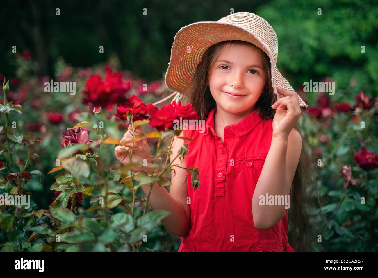 Beautiful girl park background flowers park hi-res stock photography ...