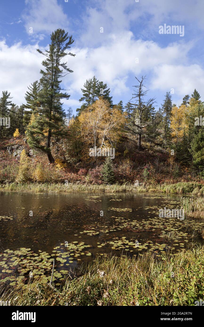 Reflections in autumn; Thunder Bay, Ontario, Canada Stock Photo - Alamy