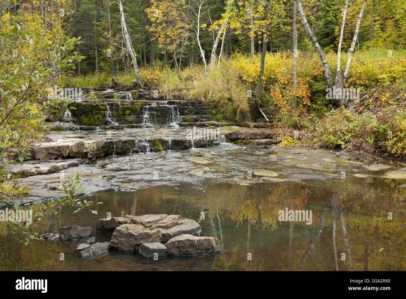 Fall foliage in canadian shield hi-res stock photography and images - Alamy