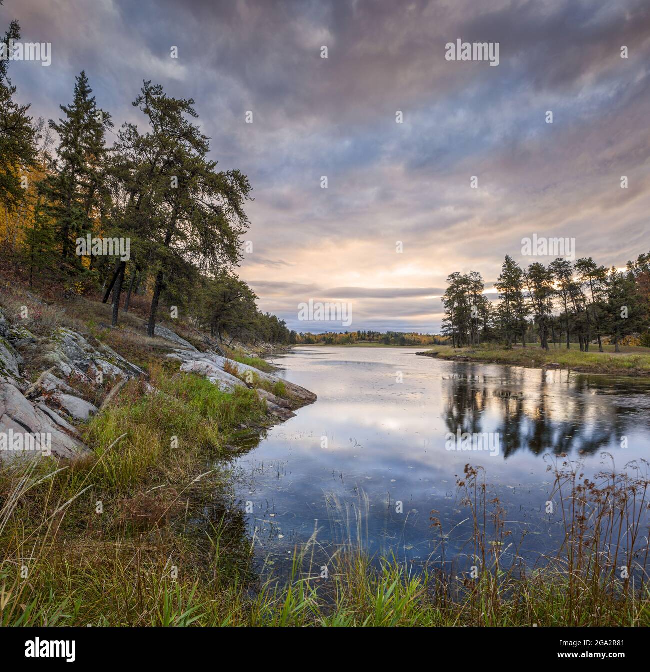 Fall foliage in canadian shield hi-res stock photography and images - Alamy