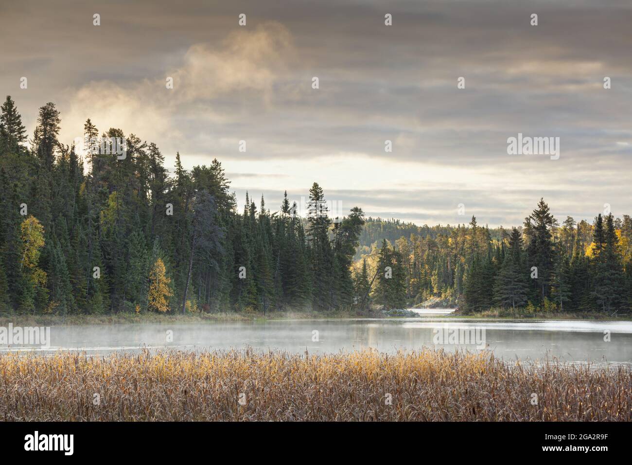 Sunrise over misty pond in autumn; Thunder Bay, Ontario, Canada Stock ...