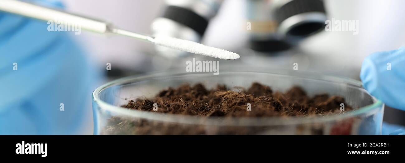 Chemist adding white powder to soil in laboratory Stock Photo - Alamy
