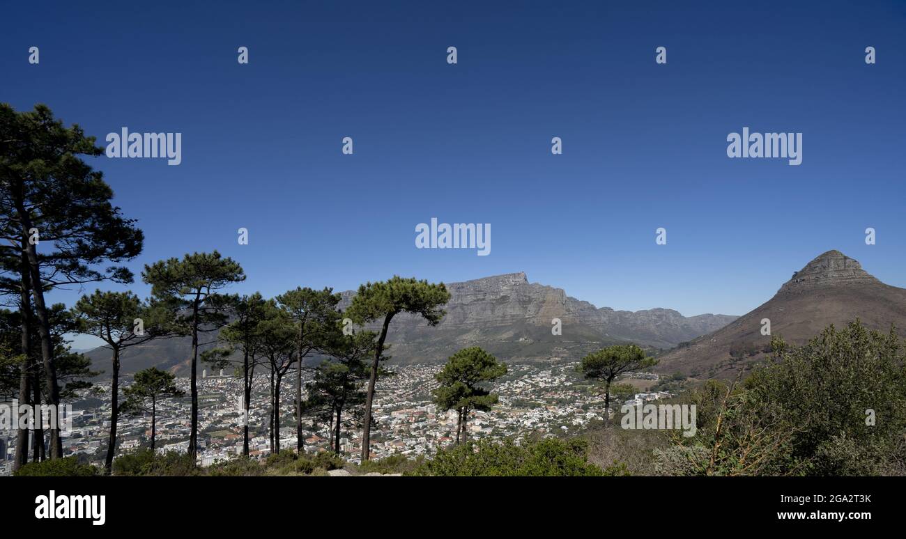 Looking down through the trees from Signal Hill Park at an overview of ...