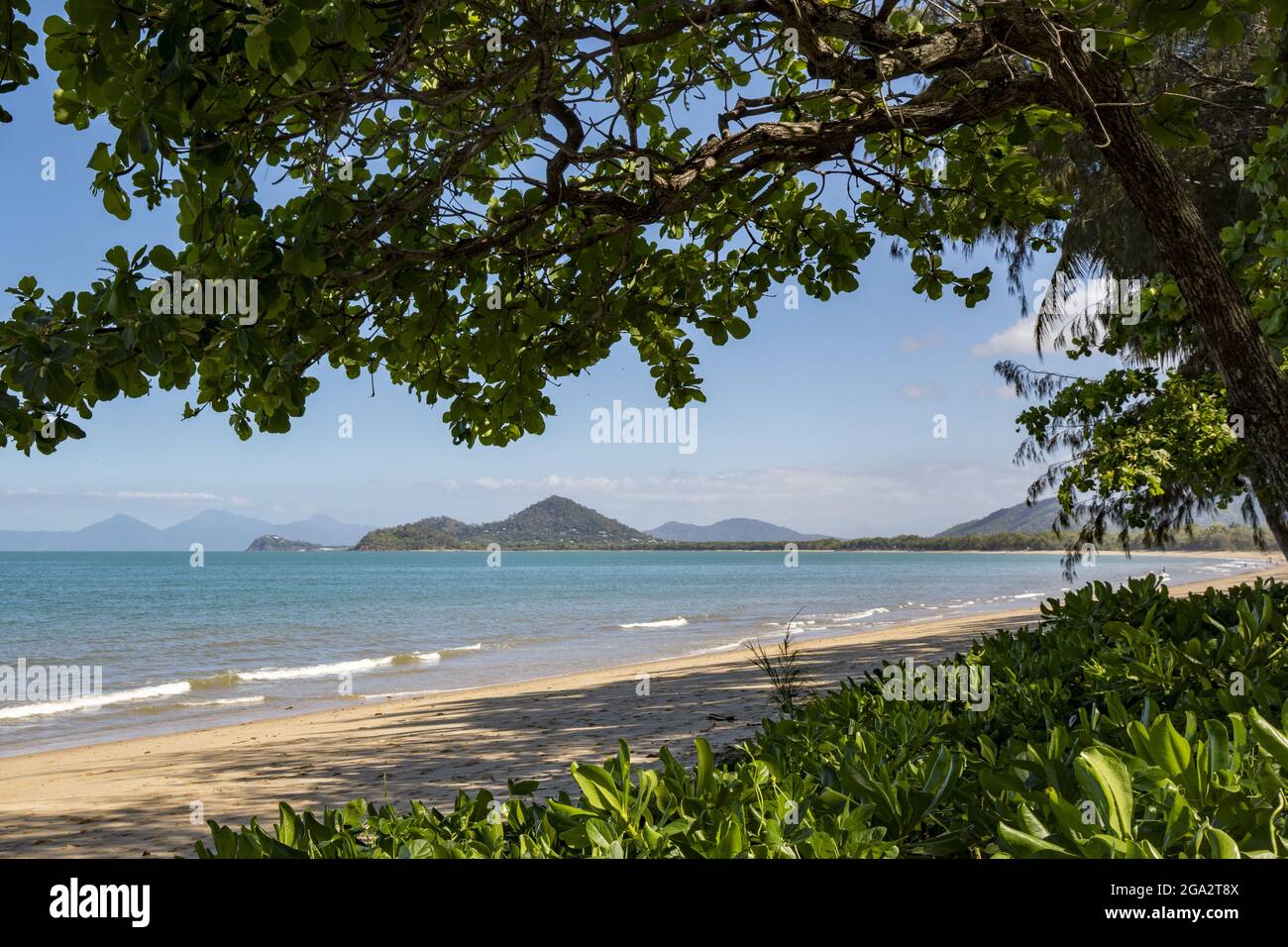 Sandy beach of the Coral Sea shaded with mangroves lining the shoreline ...