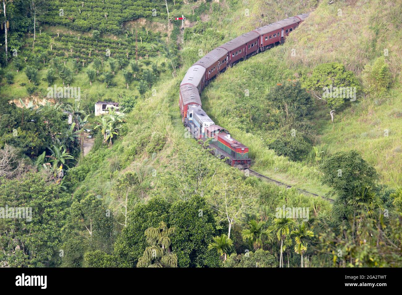 Hill Train on the Demodara Loop in the Hill Country; Demodara, Hill ...