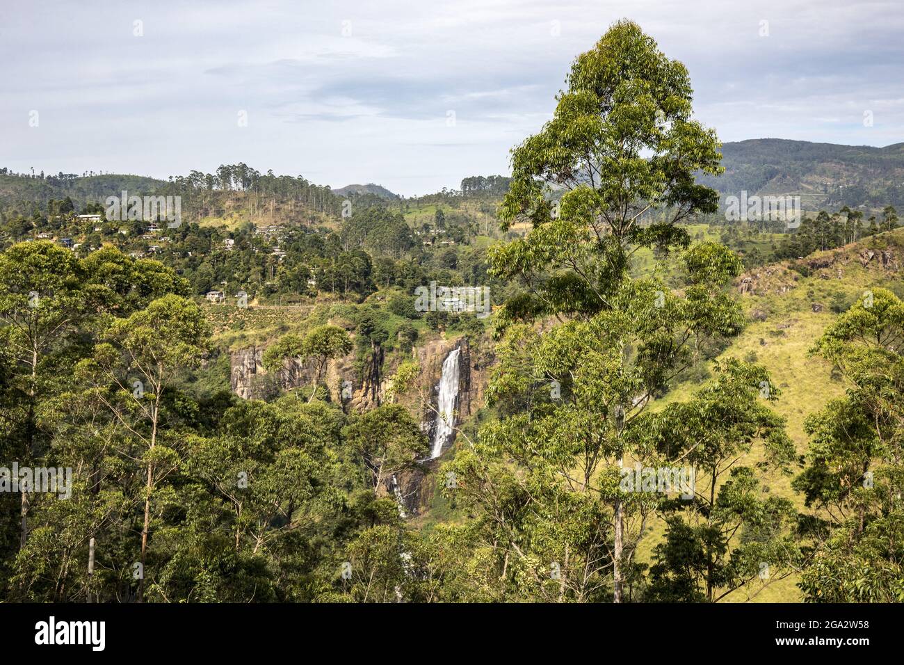 Waterfall in surrounded by lush foliage in Hill Country, Sri Lanka ...