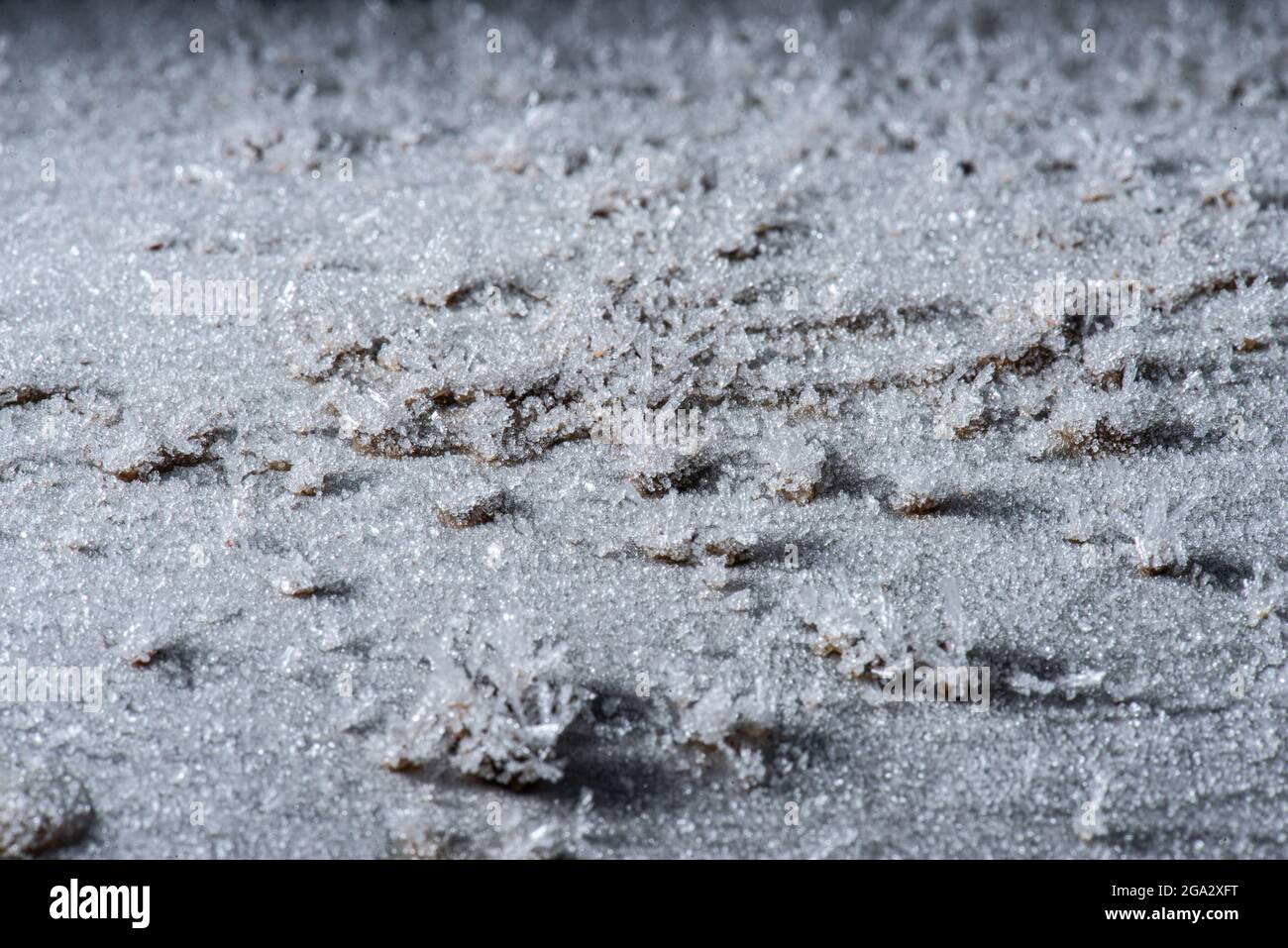 Ice crystals forming on sand grain Stock Photo - Alamy
