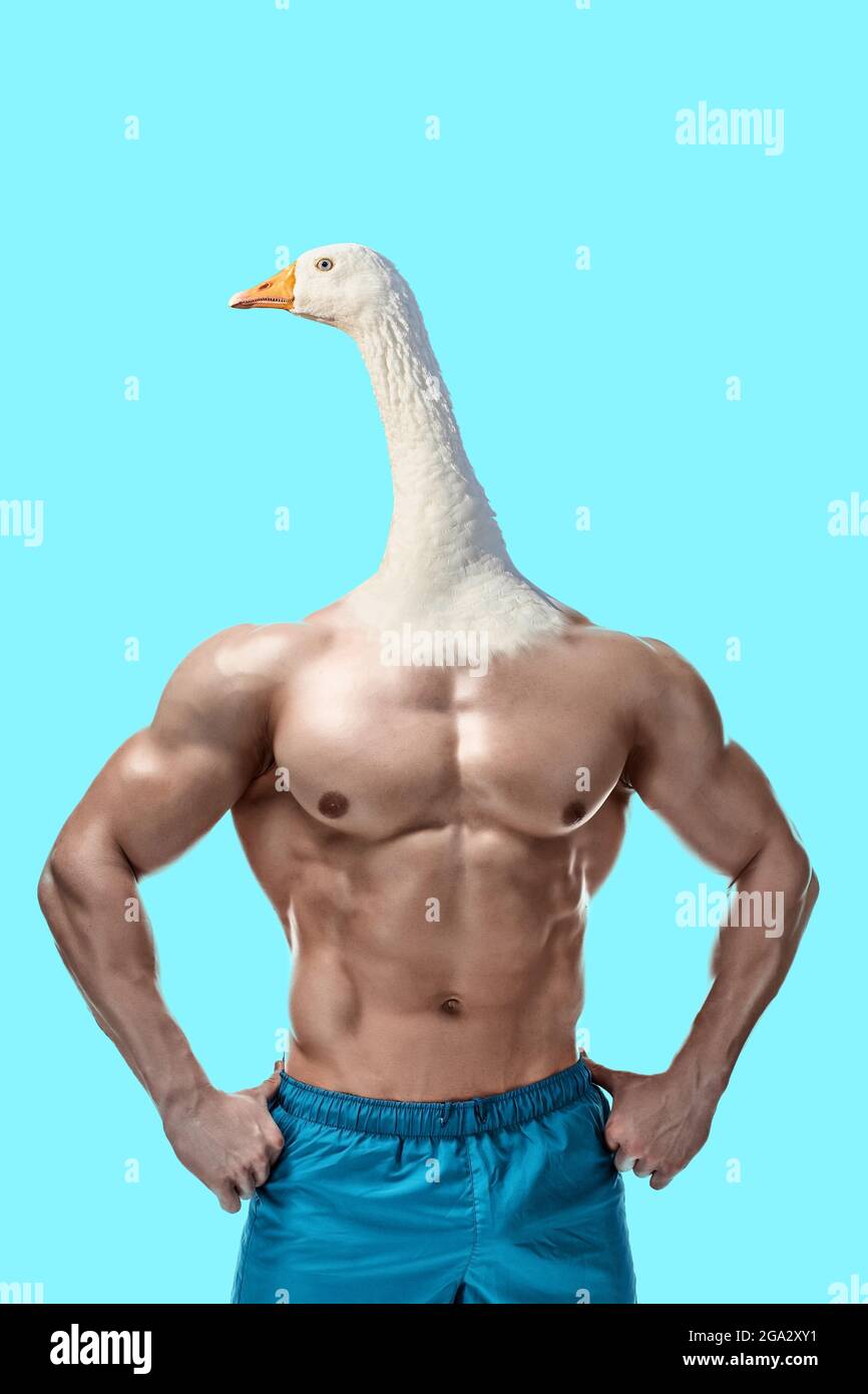 Athletic man in sport clothes with goose head. Sports concept, art ...