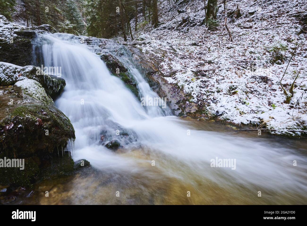 Snowy waterfall with rushing cascade at Janosikove Diery in winter ...