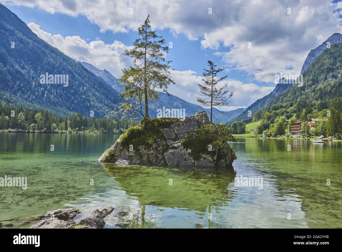 Norway spruce (Picea abies) tree on a small, rock island in Lake ...