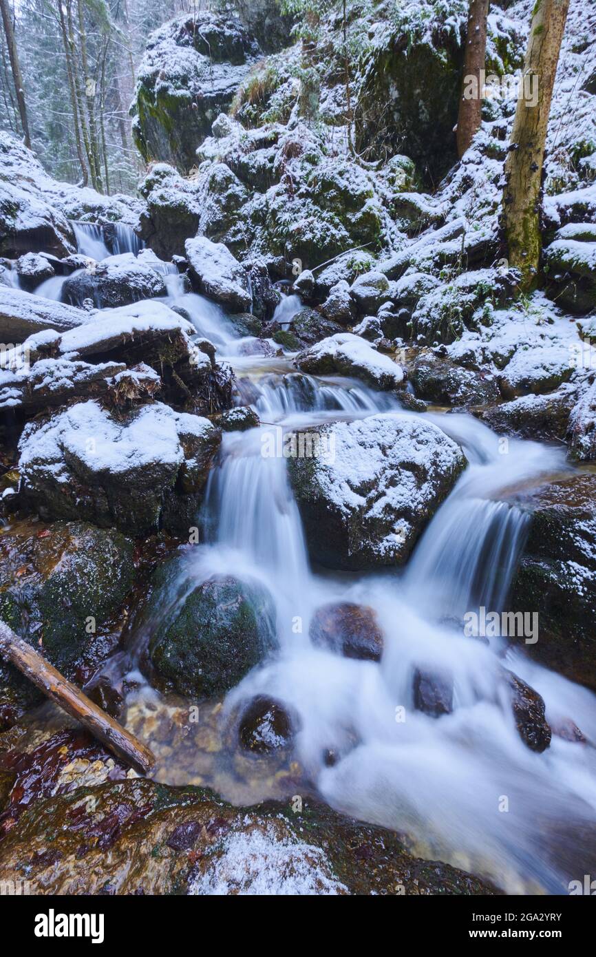 Snowy waterfall flowing over the rocks through the gorge at Janosikove ...