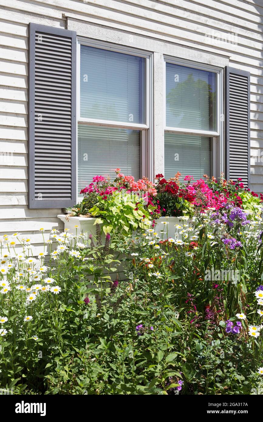 A window box full of flowers and a flower bed next to a house with ...