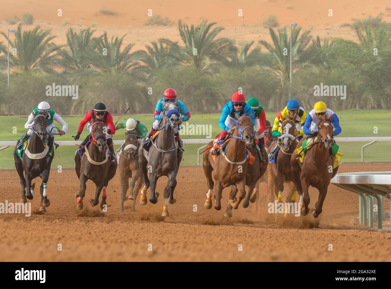 Horse racing in Saudi Arabia Stock Photo - Alamy