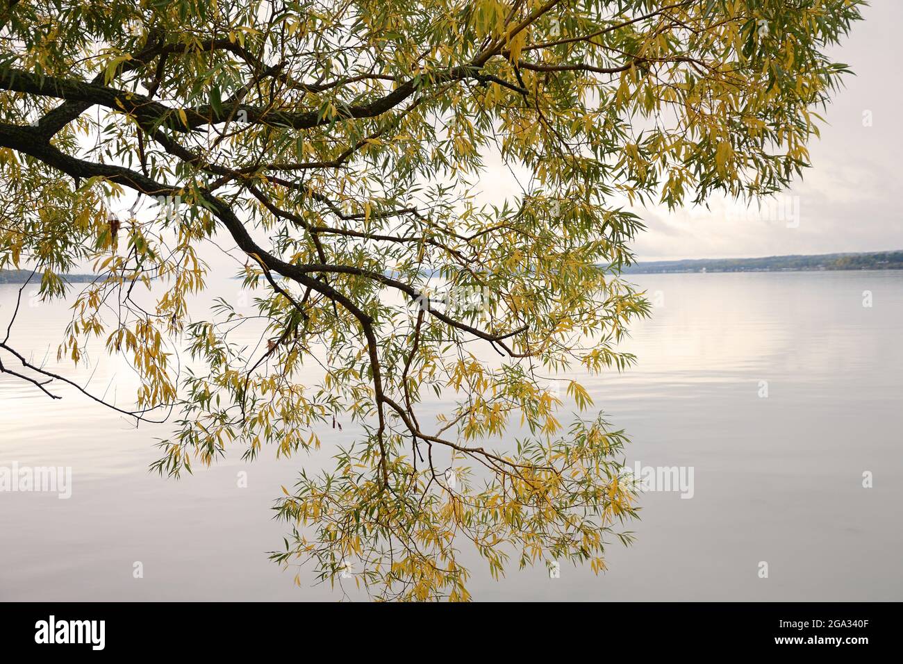Autumn foliage overhanging hi-res stock photography and images - Alamy