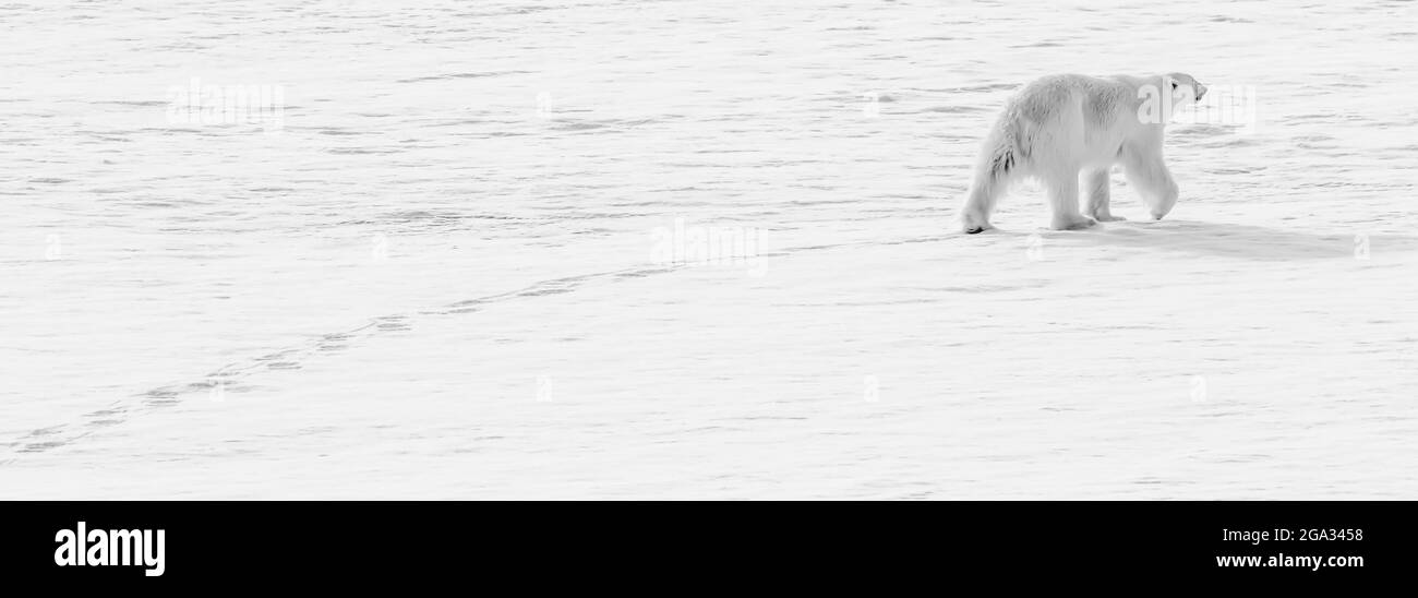 Arctic destinations Black and White Stock Photos & Images - Alamy