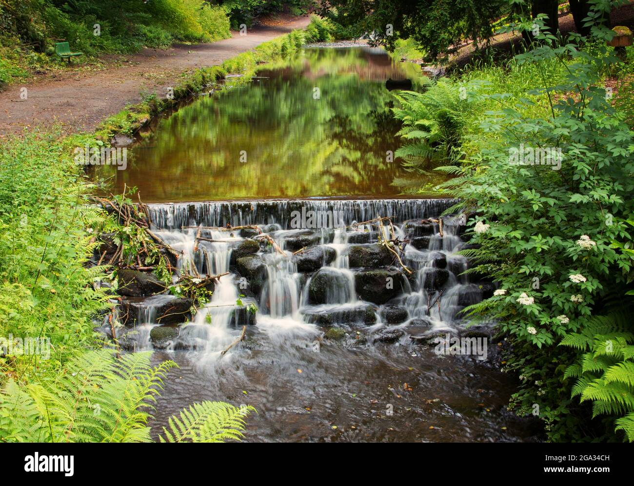 Colours and shapes of trees, reflected in the water of the stream below ...