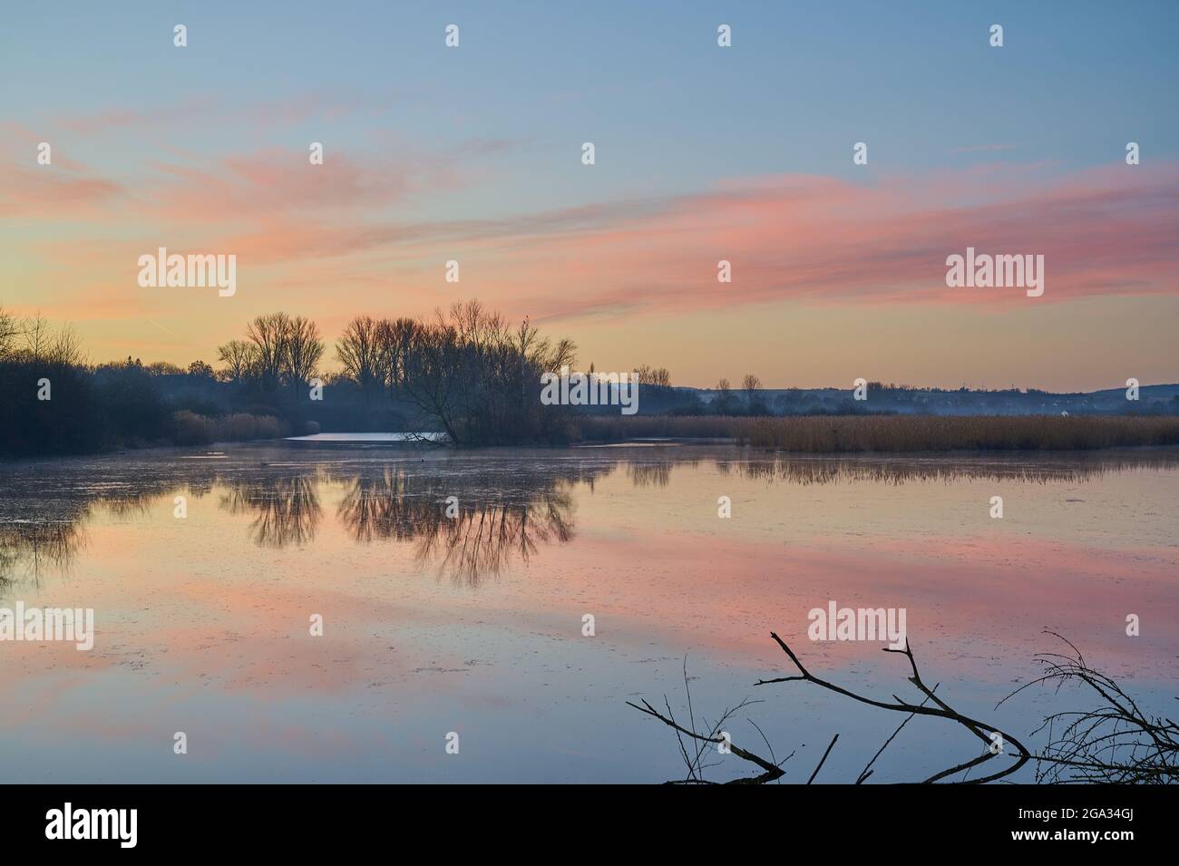 Reinheim pond hi-res stock photography and images - Alamy