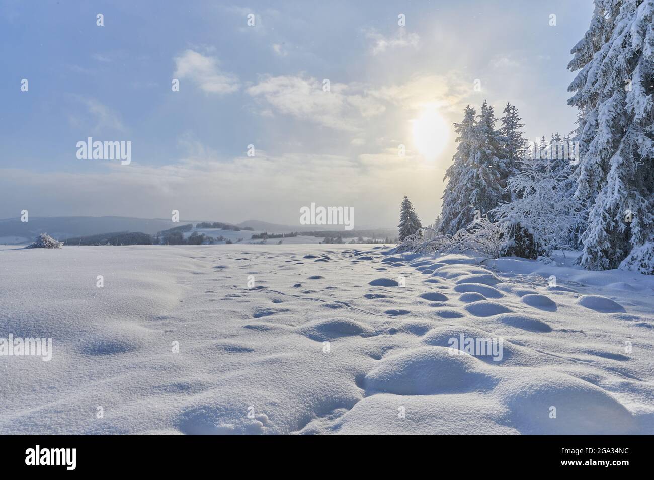 Winter landscape at sunrise, Wasserkuppe mountain, Rhon mountains ...