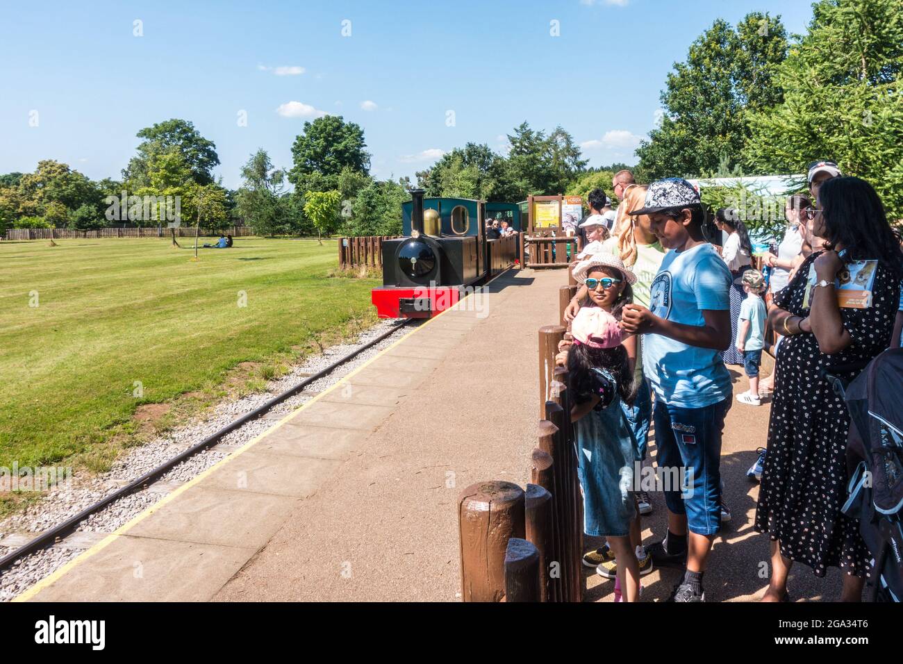 Safari park kids train activity to go around Stock Photo - Alamy