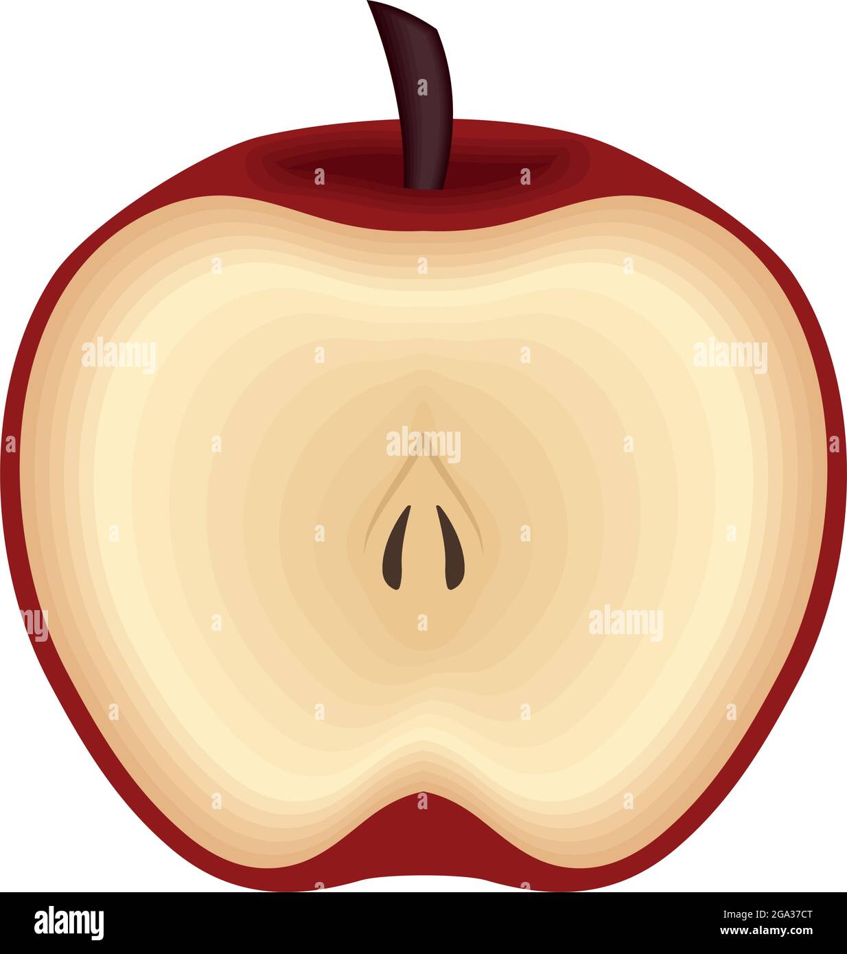 apple half fruit delicious icon Stock Vector Image & Art - Alamy