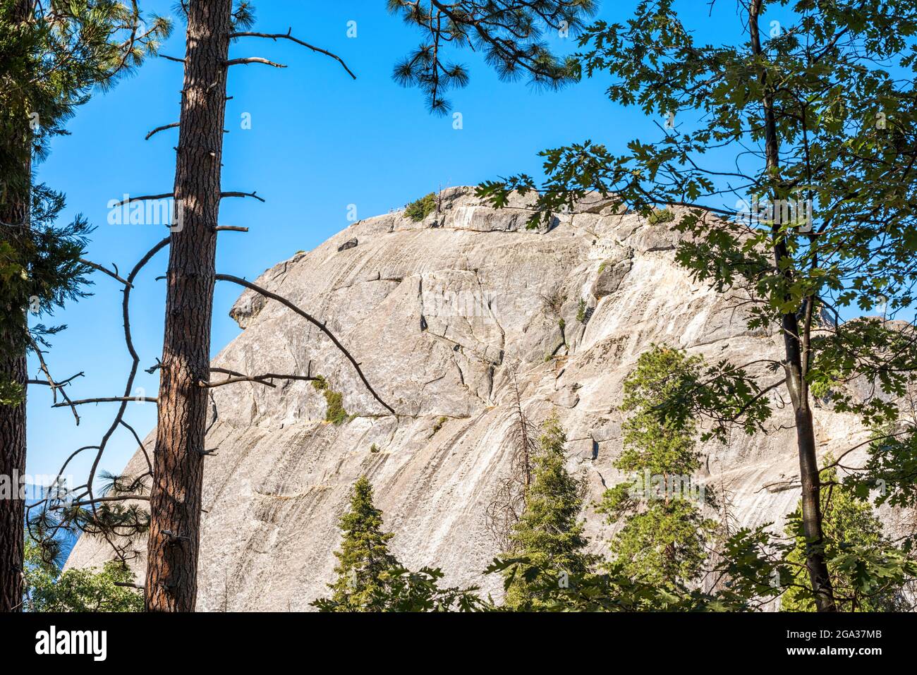 Moro Rock. Sequoia National Park, California, USA Stock Photo - Alamy
