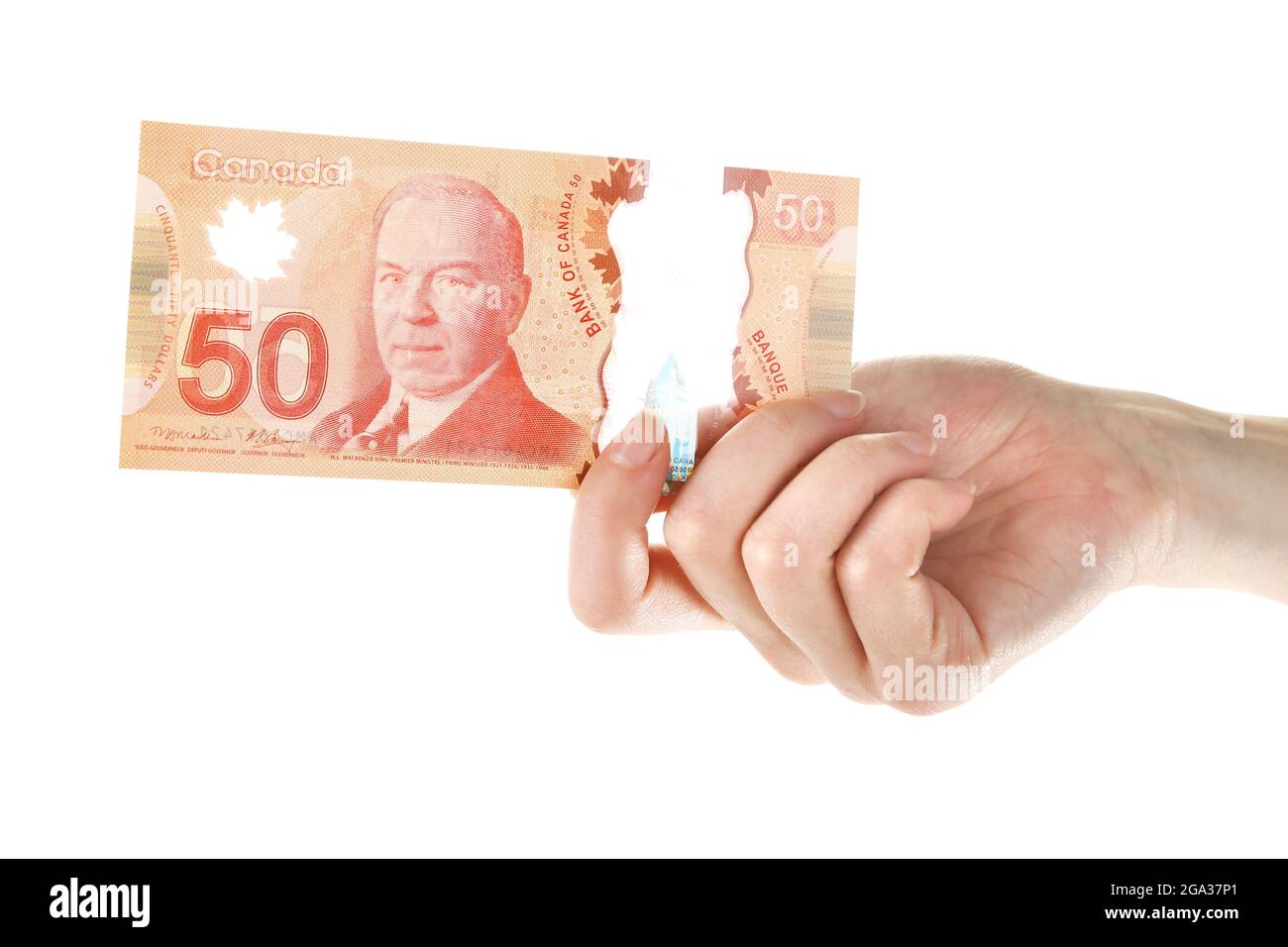 Female hand with Canadian 50 Dollar, isolated on white Stock Photo - Alamy