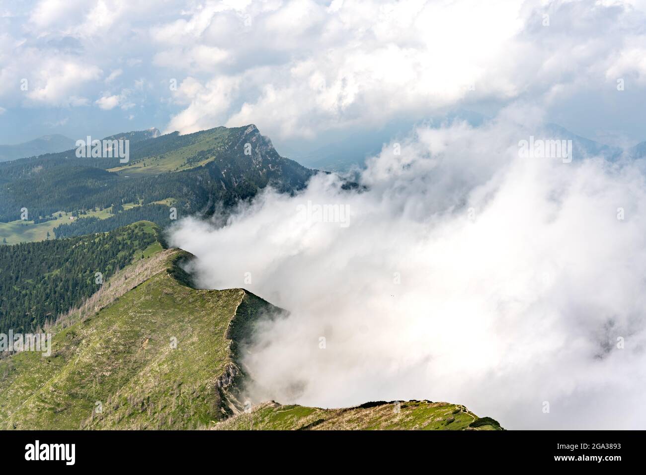 altopiano di asiago mountains - italy - cima mandriolo and cima larici ...