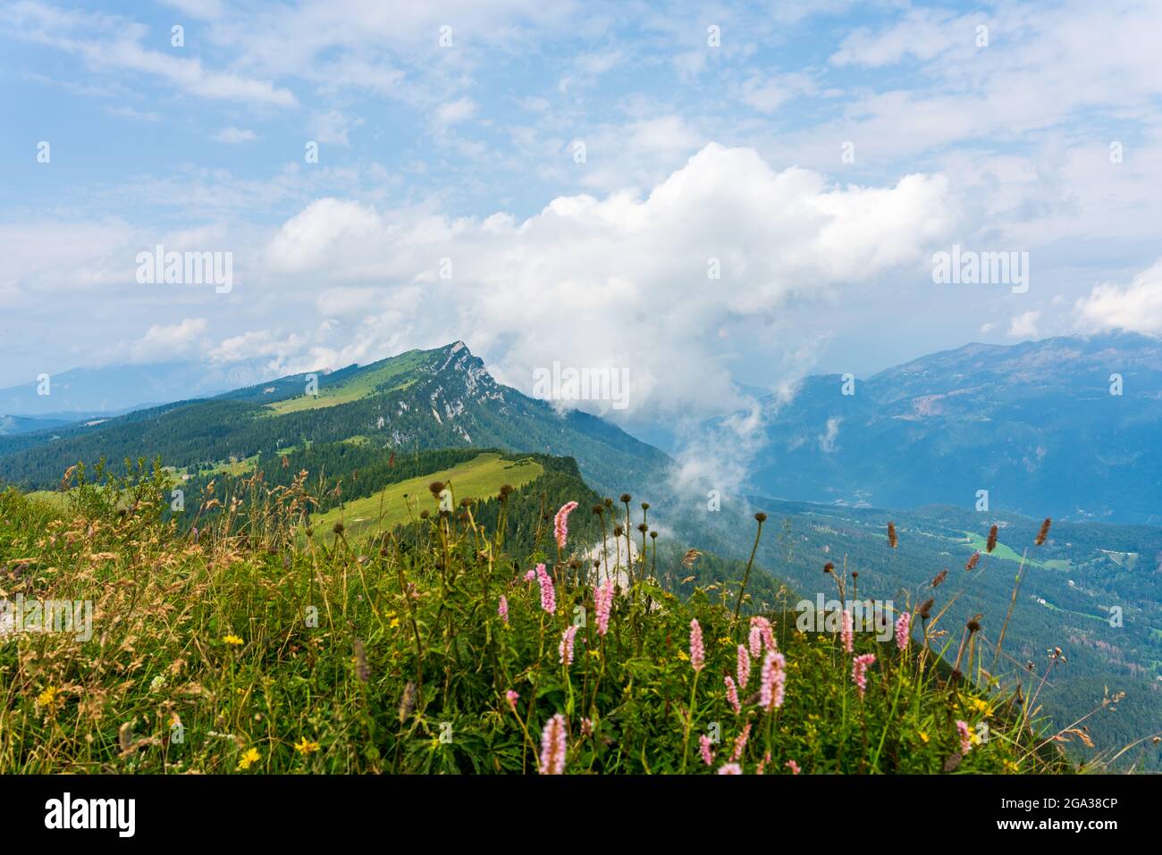 altopiano di asiago mountains - italy - cima mandriolo and cima larici ...