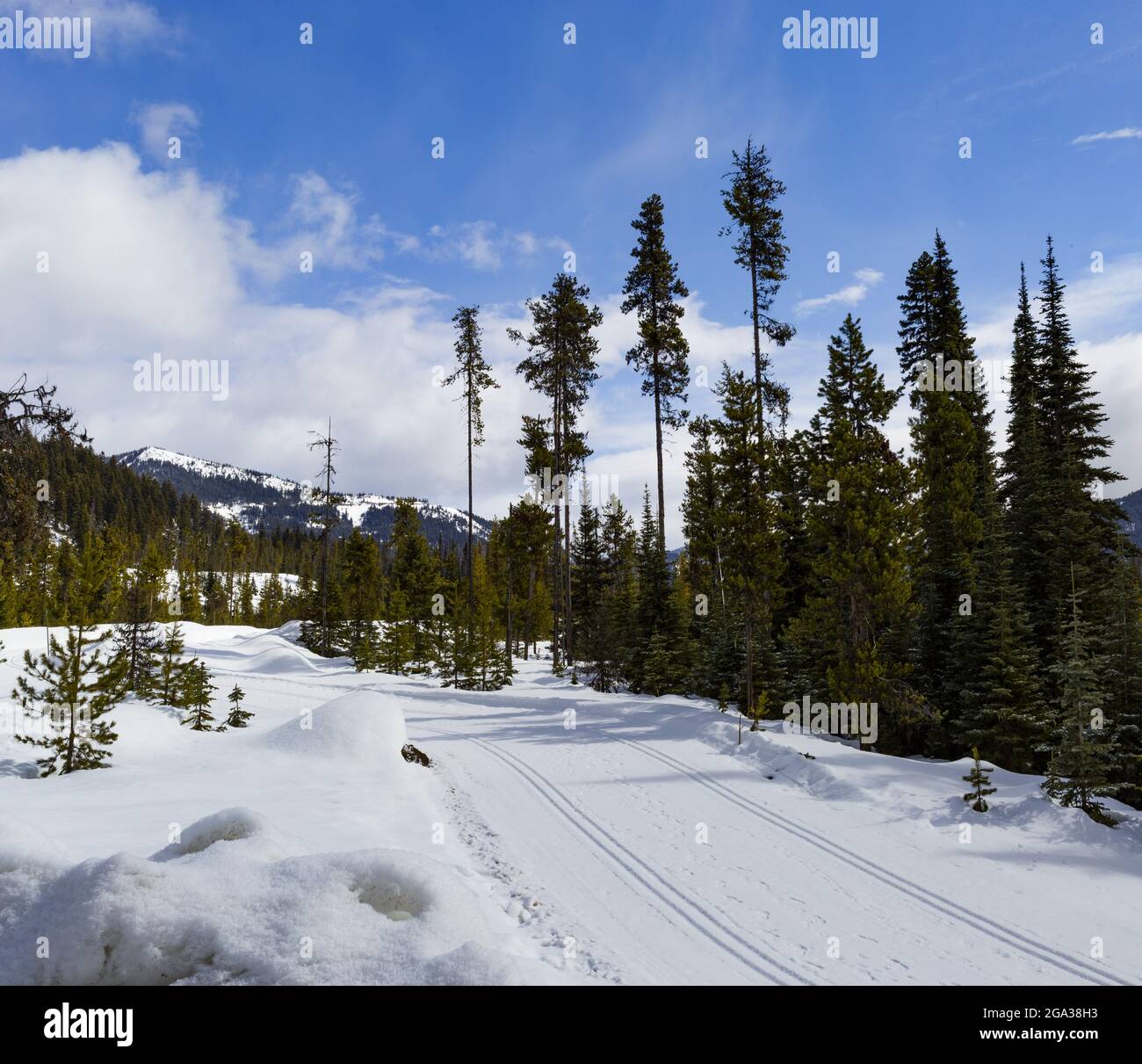 Cross-country ski tracks on the snow at Lightning Lake in E.C. Manning ...
