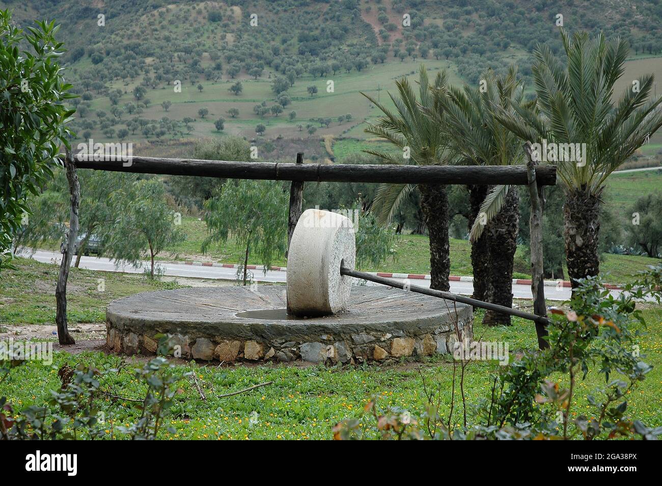 Olive tourism hi-res stock photography and images - Alamy