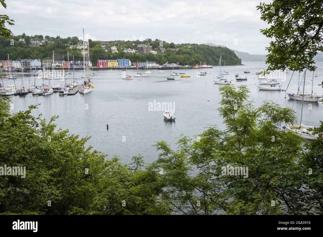 Trees frame a view to the colourful Tobermory harbour, Isle of Mull ...