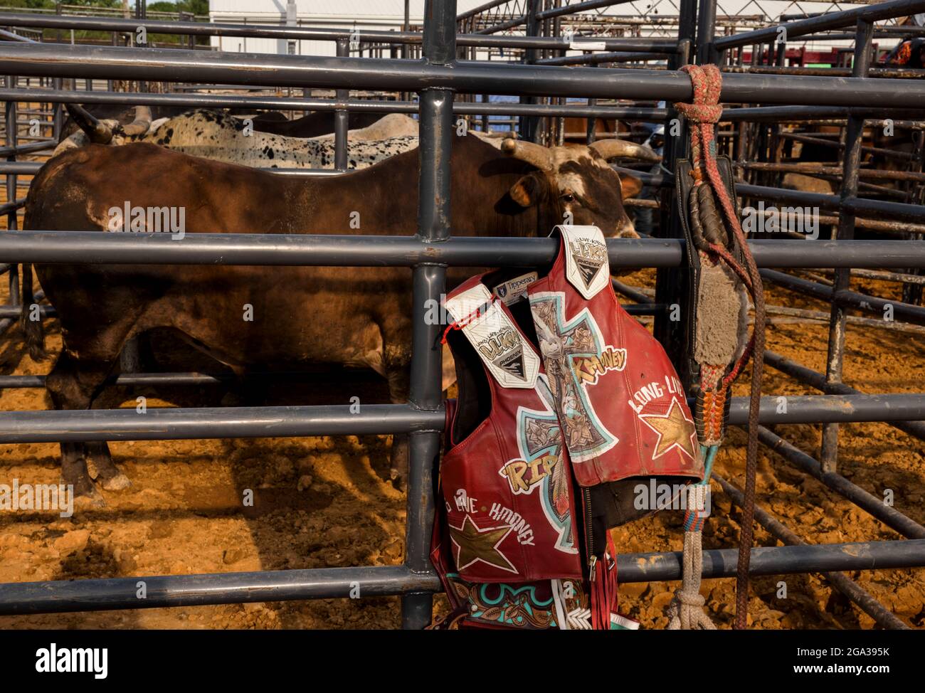 Bull pen hi-res stock photography and images - Alamy