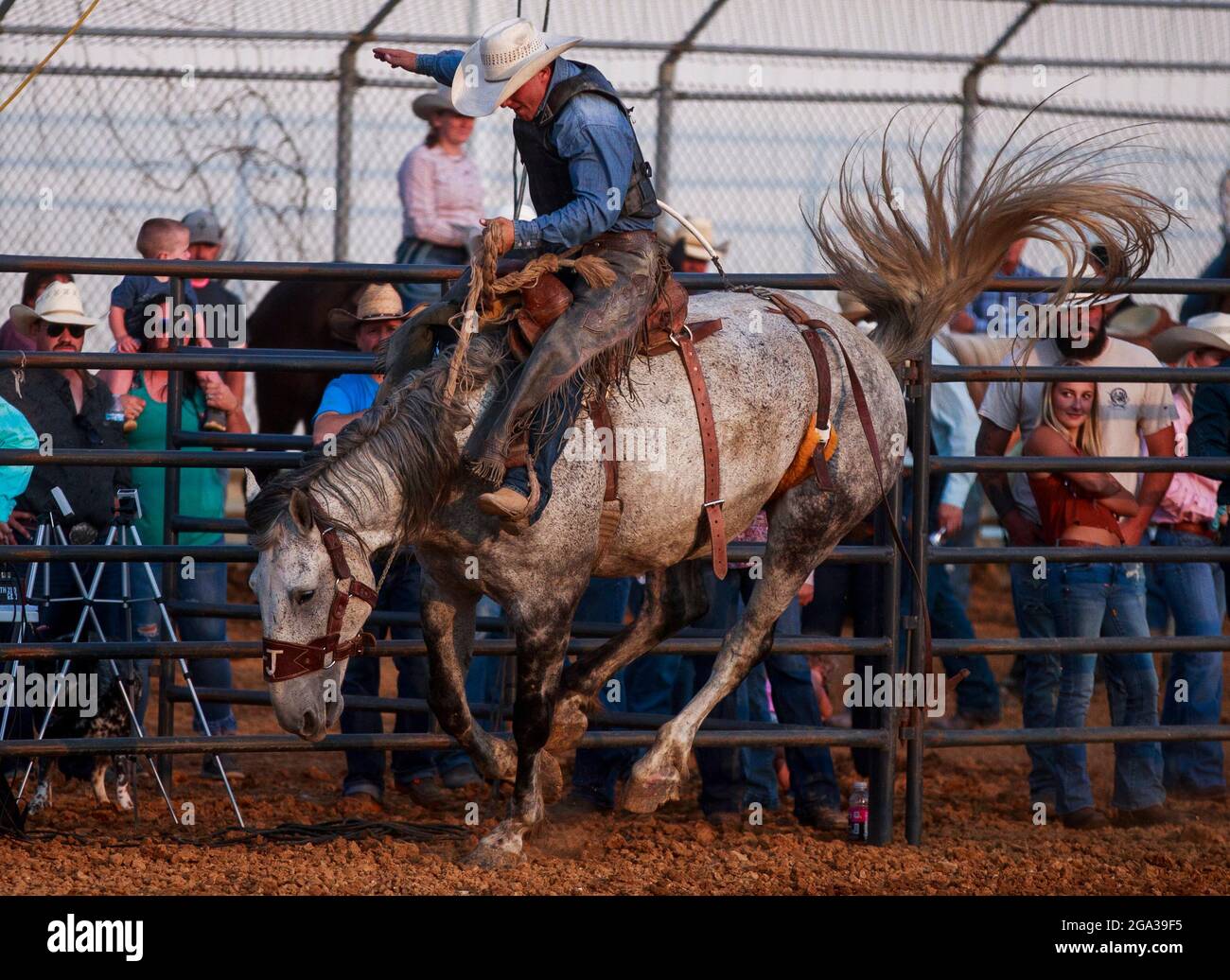 July 3, 2021; Bloomington, Indiana: 3 Bar J Rodeo, July 2nd at the ...