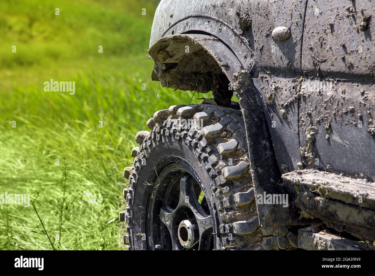 dirty wheel in a swamp off-road tire treads on a field with grass ...