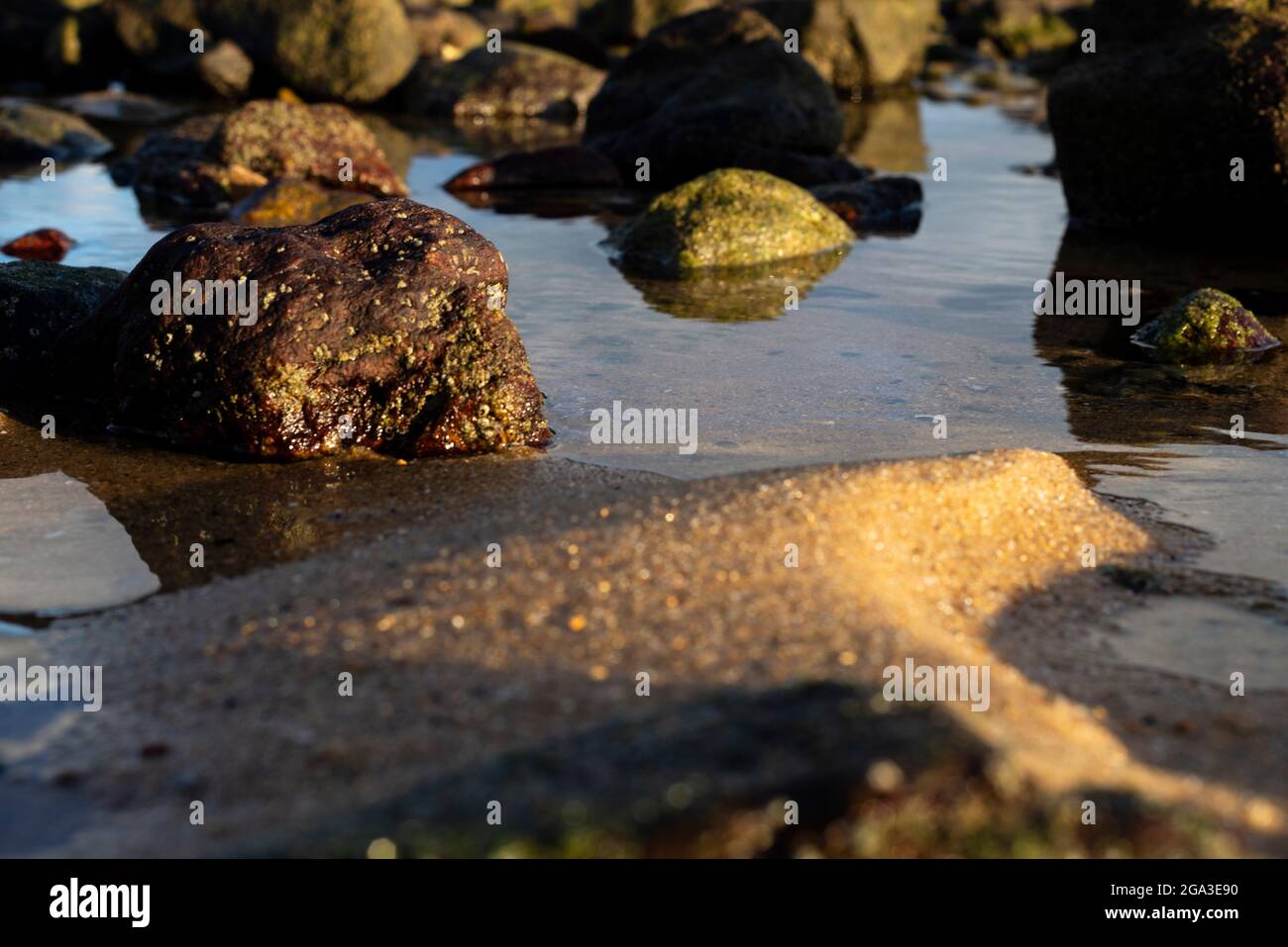 Puddle sea water hi-res stock photography and images - Alamy