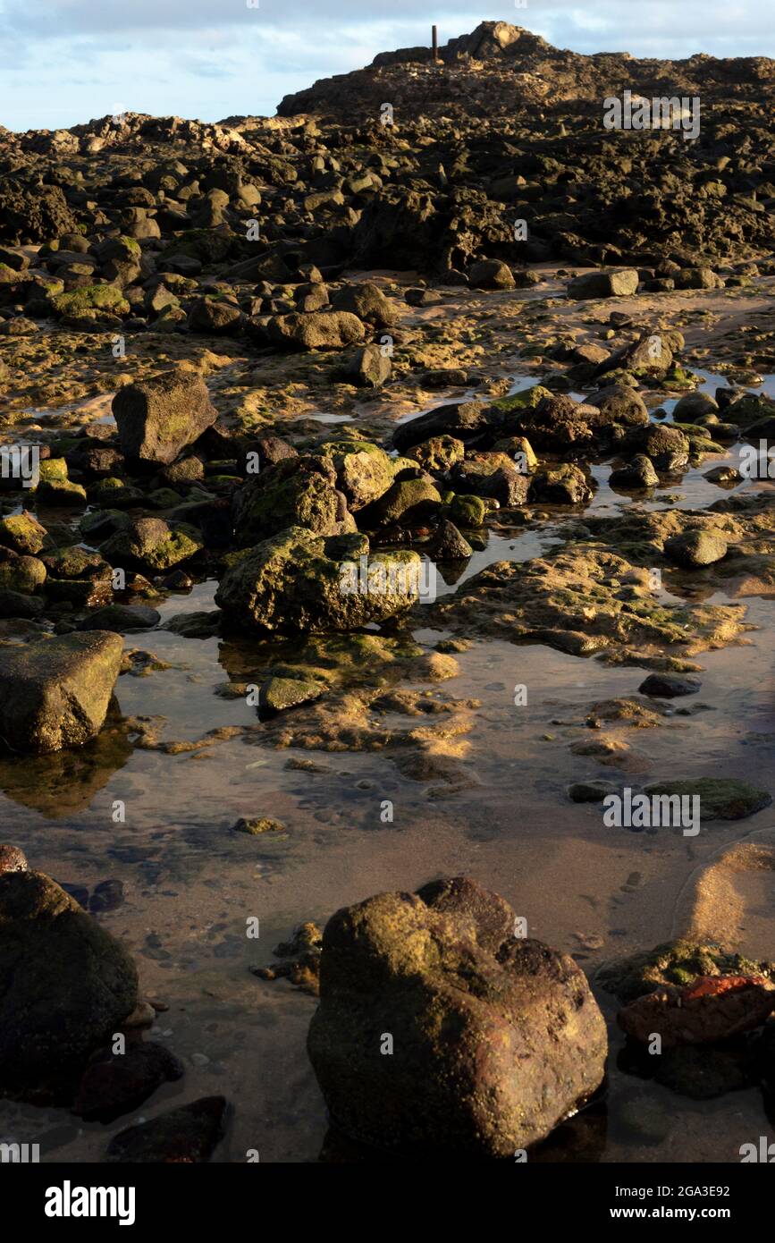 Beach rocks totally wet with water in the form of a puddle making ...