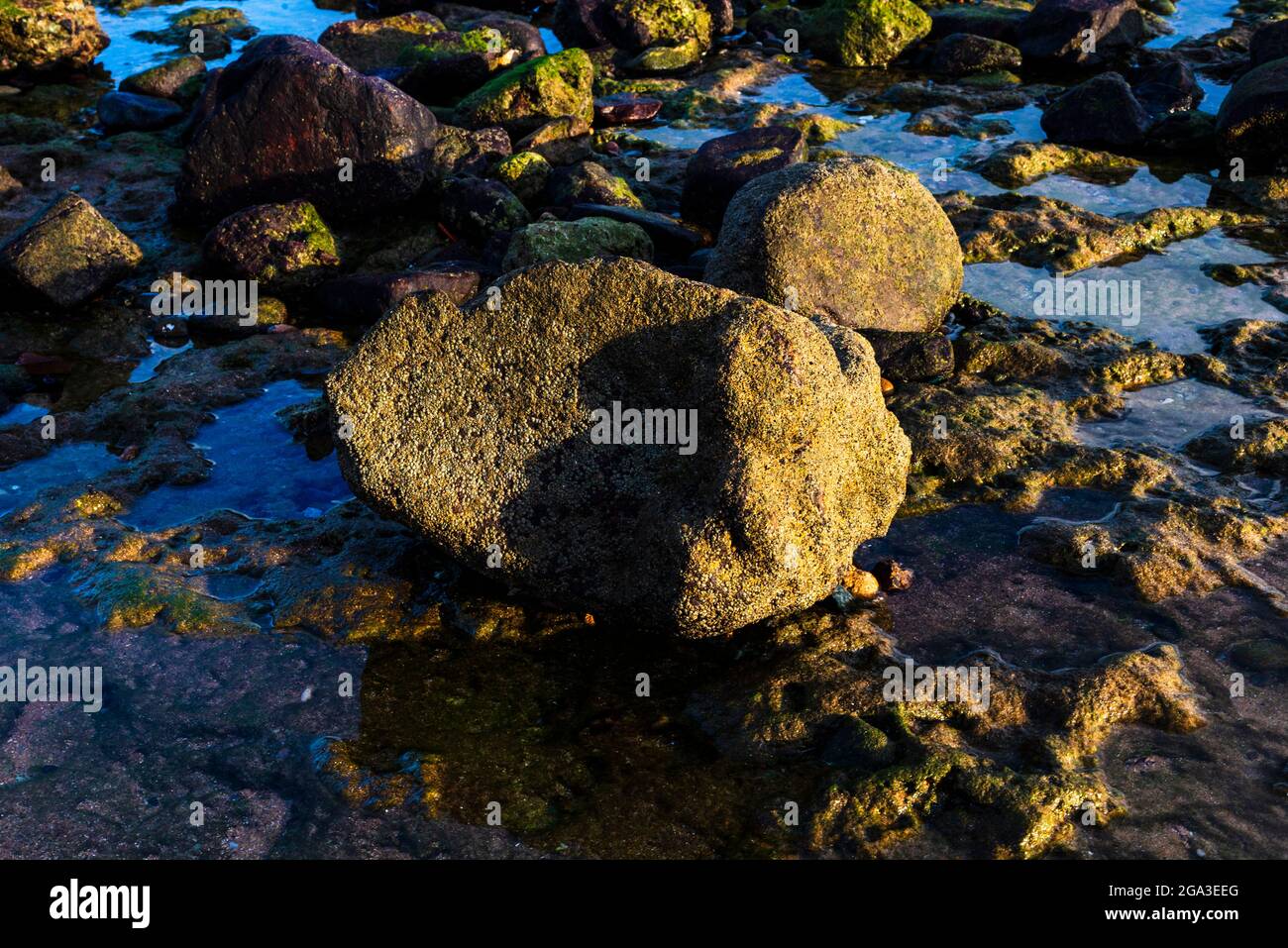 Beach rocks totally wet with water in the form of a puddle making ...