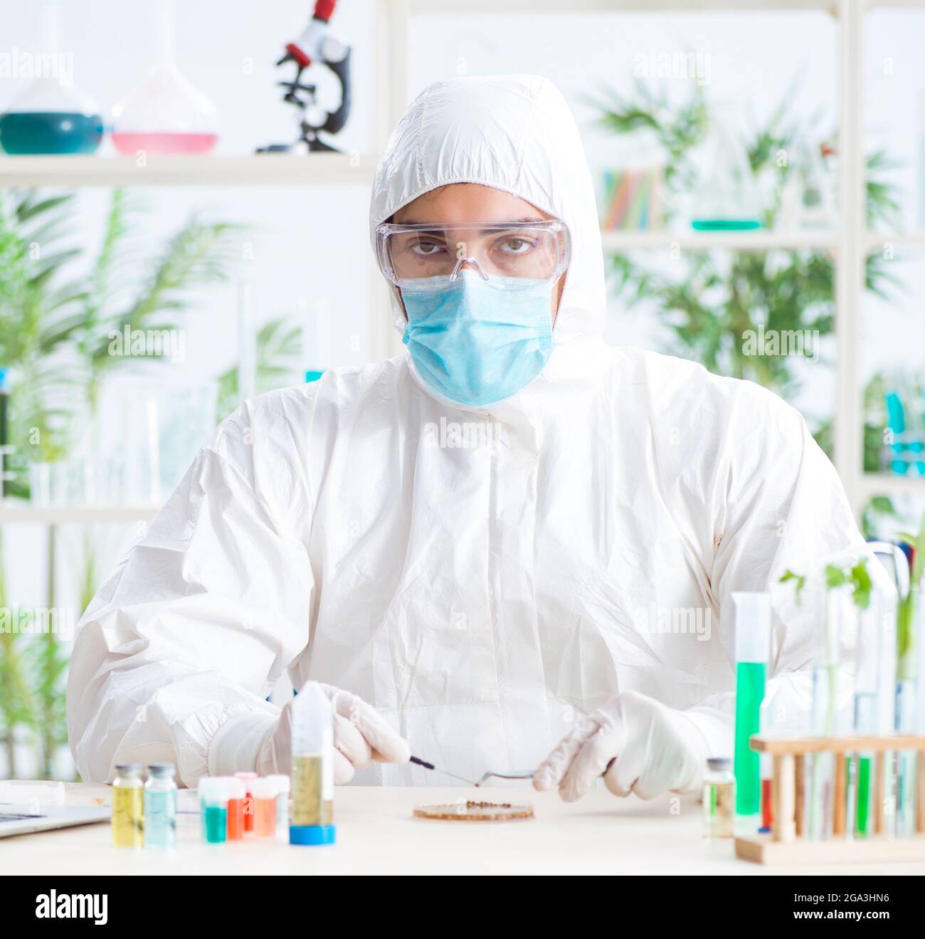 The male biochemist working in the lab on plants Stock Photo - Alamy