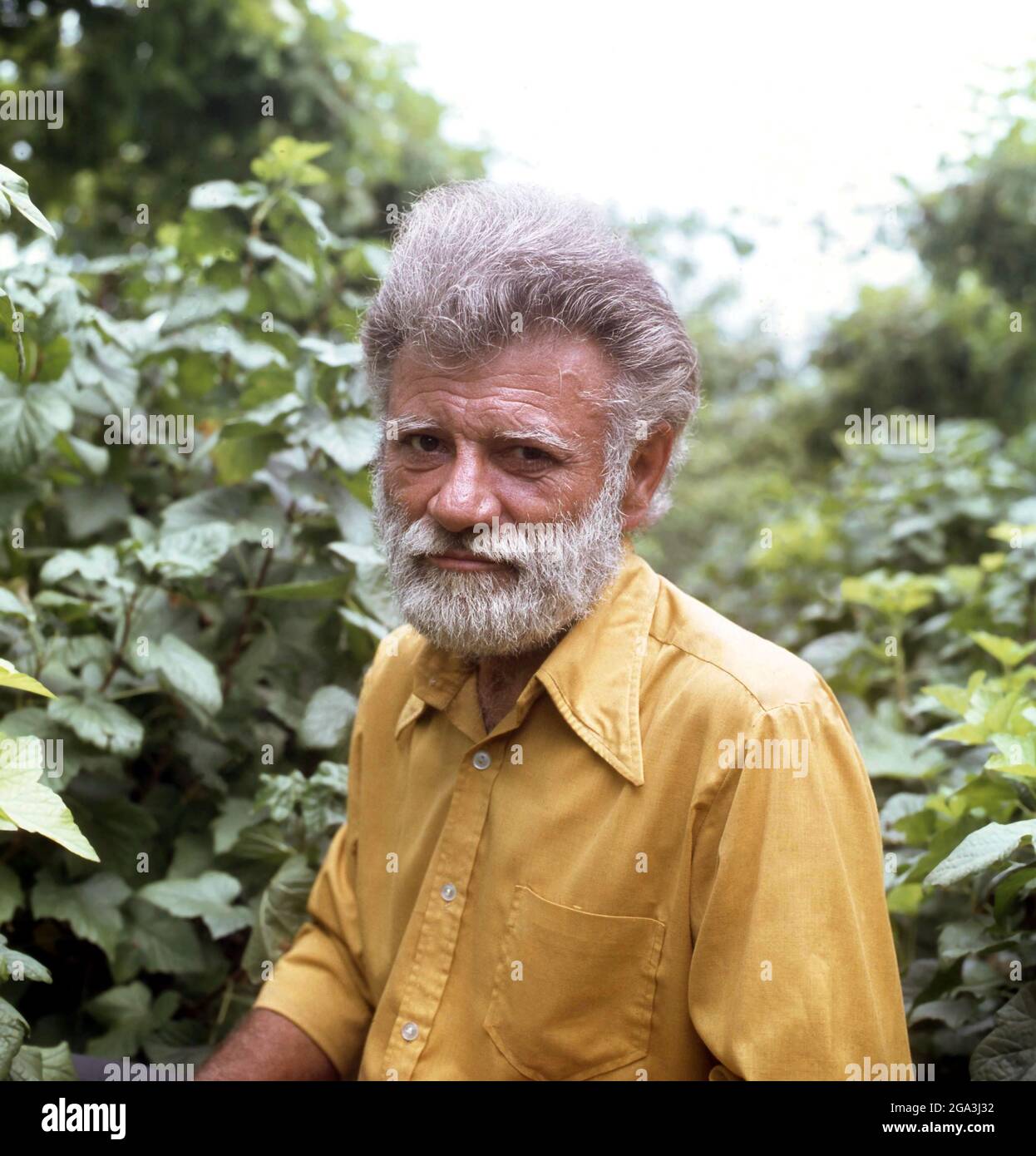 Ernest maftei hi-res stock photography and images - Alamy