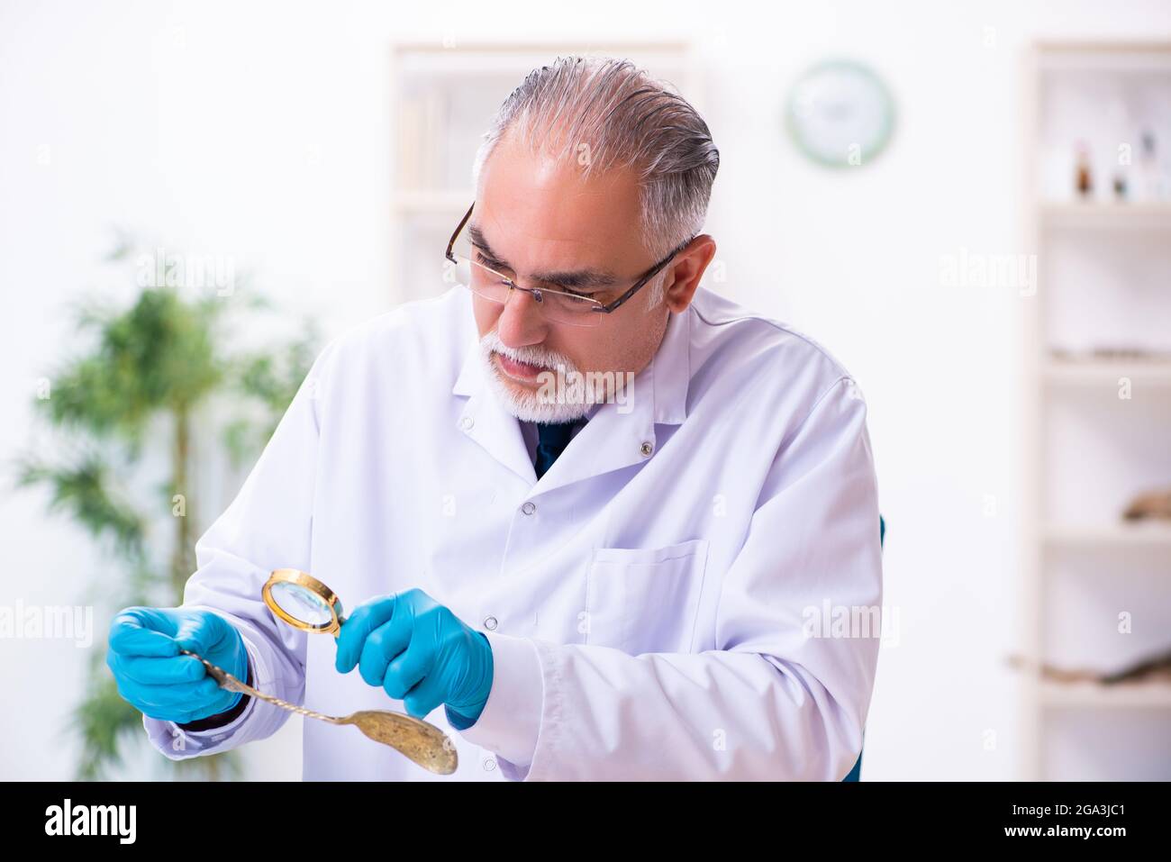Old male archaeologist working in the lab Stock Photo - Alamy